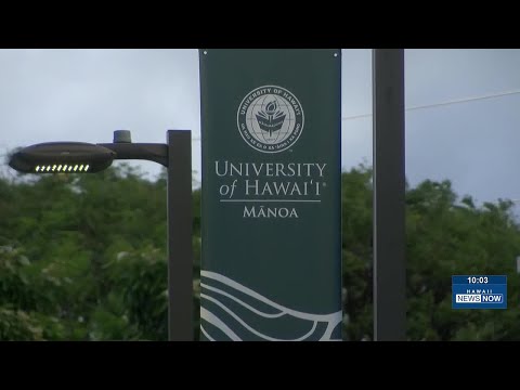 Reports of mold concerns inside UH Manoa dorms after Kona Low storms