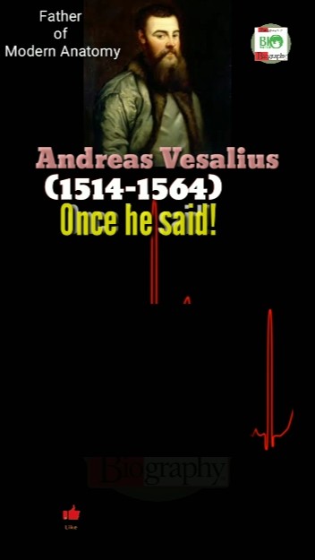 Andreas Vesalius: The Father of Modern Anatomy - YouTube