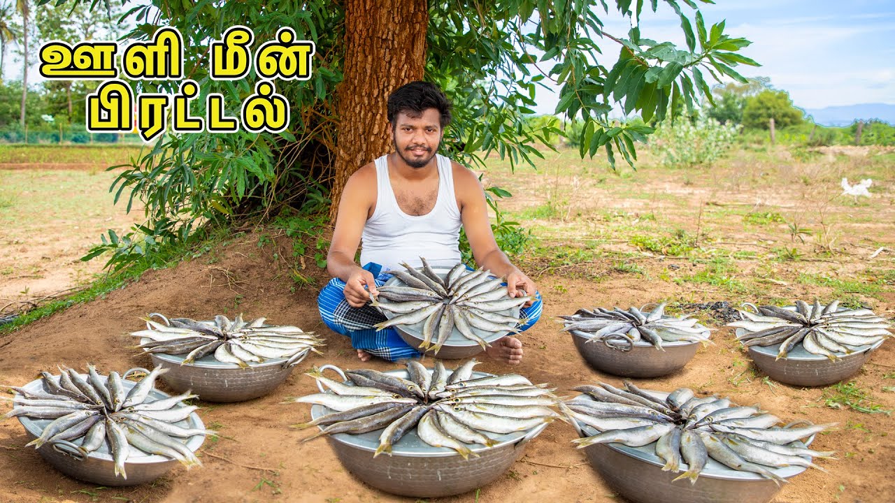 ஊழி மீன் பிரட்டல் | Ooli Meen Piratal |Village Cooking Style | Fish ...