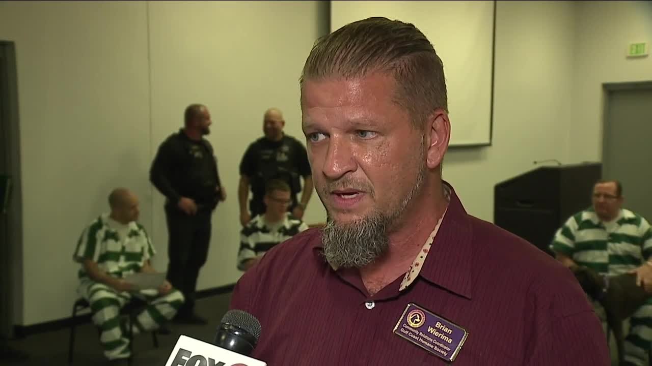 Cell Dog Program gives second chance to dogs and inmates - YouTube