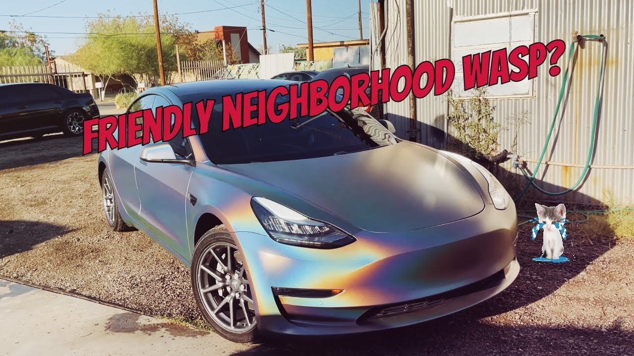 Vehicle Wrap Vlog | #10 | Prestige Auto Restyling - YouTube