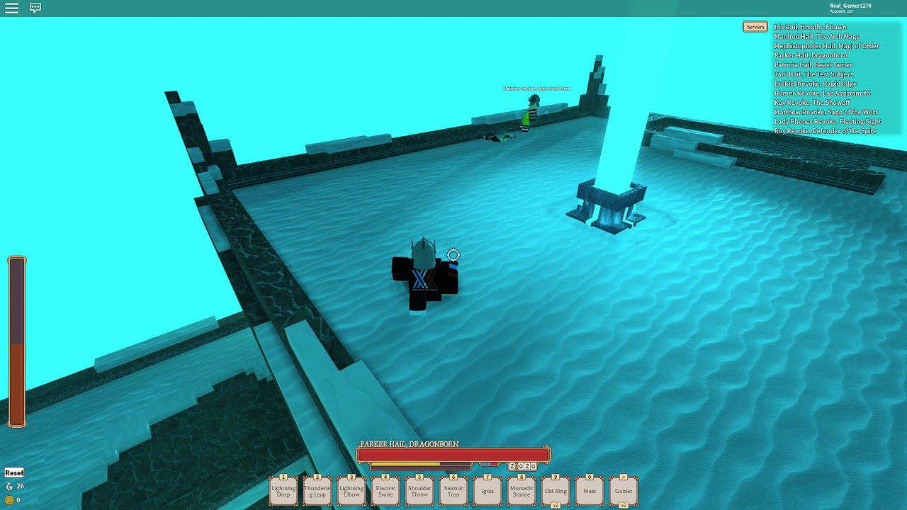 Dsage is fun | Rogue Lineage - YouTube