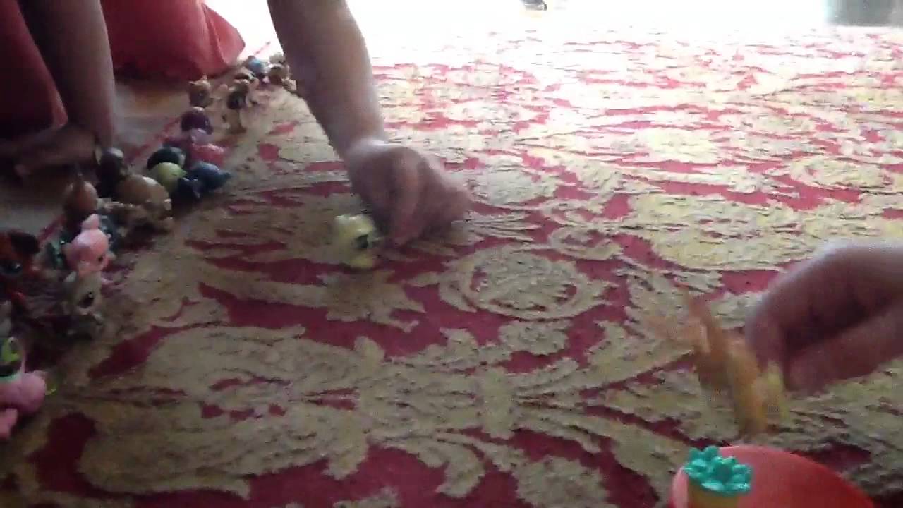 LPS tortoise and the hair 2/2 - YouTube