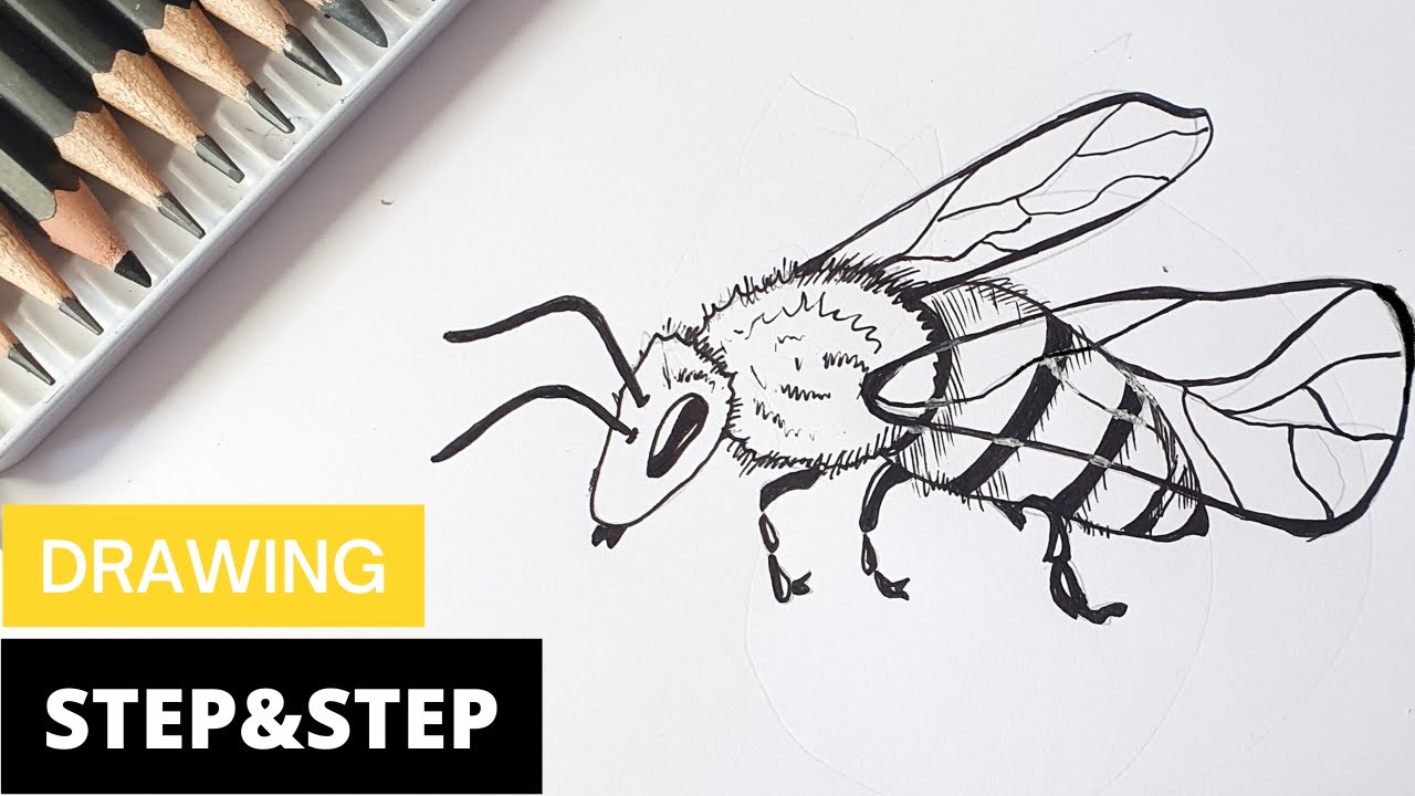How To Draw A Bee | Easy Drawing Tutorial - YouTube