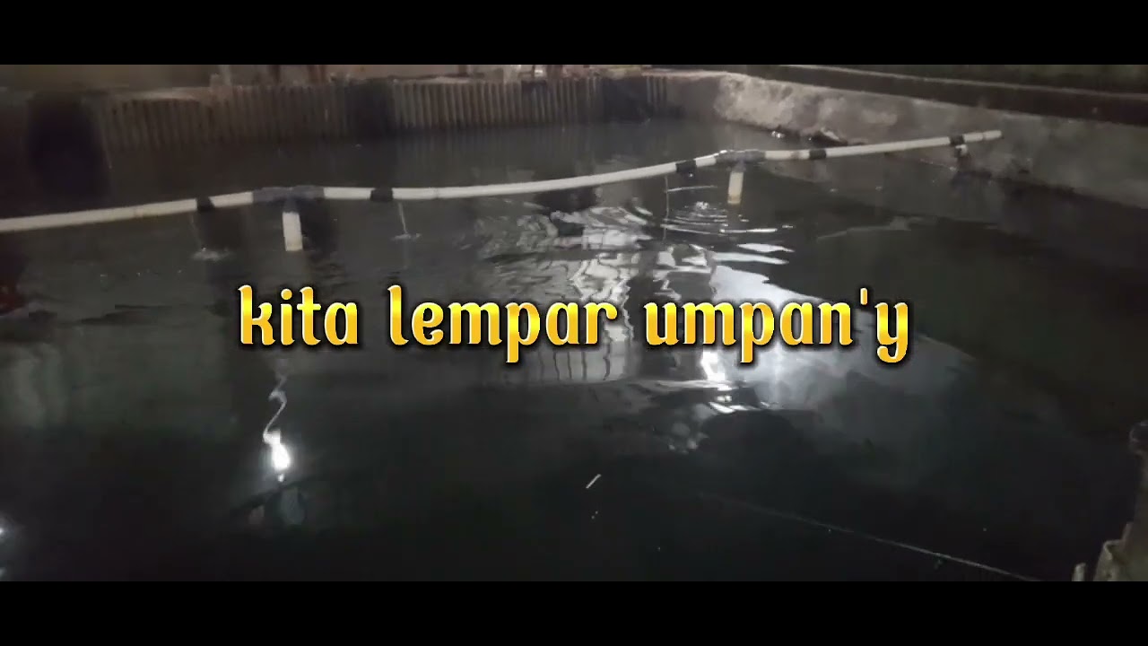 mancing galatama bareng sama bang ucup//mancingmania//maumancing//ciracas - YouTube