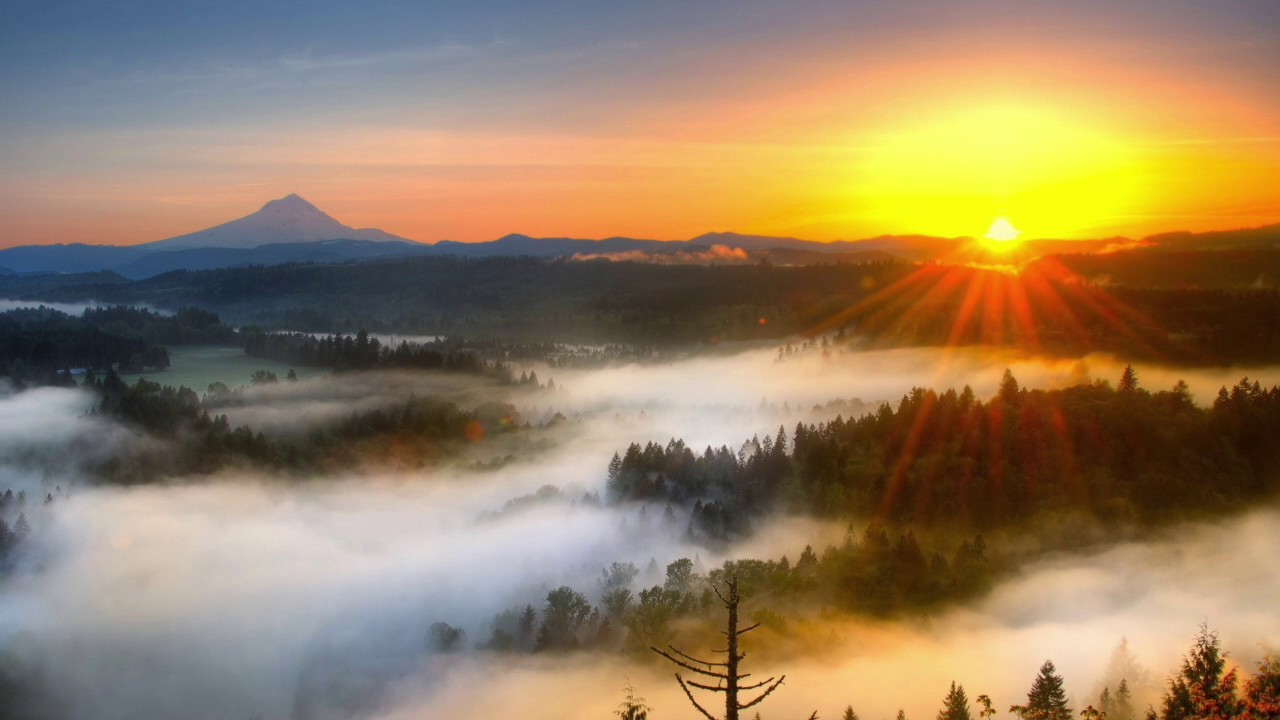 proGrammar "Sun Arise (Vocal Breakdown)" (by Alice Cooper) - YouTube