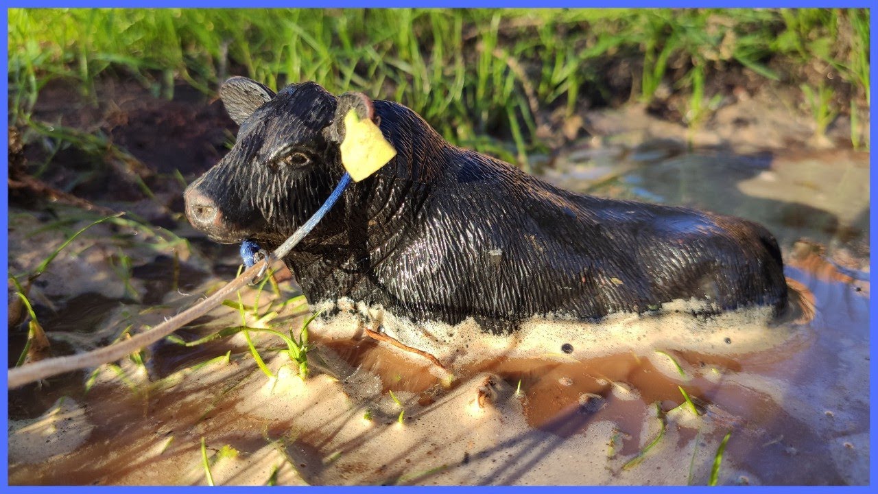 Fazenda de brinquedo O BOI PRETO ESTÁ ATOLADO NO AÇUDE MAIS UMA LIDA ...