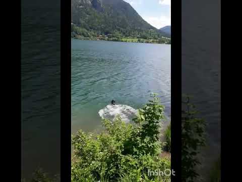 Tenêbûna Evînê (Aşkın Yalnızlığı)