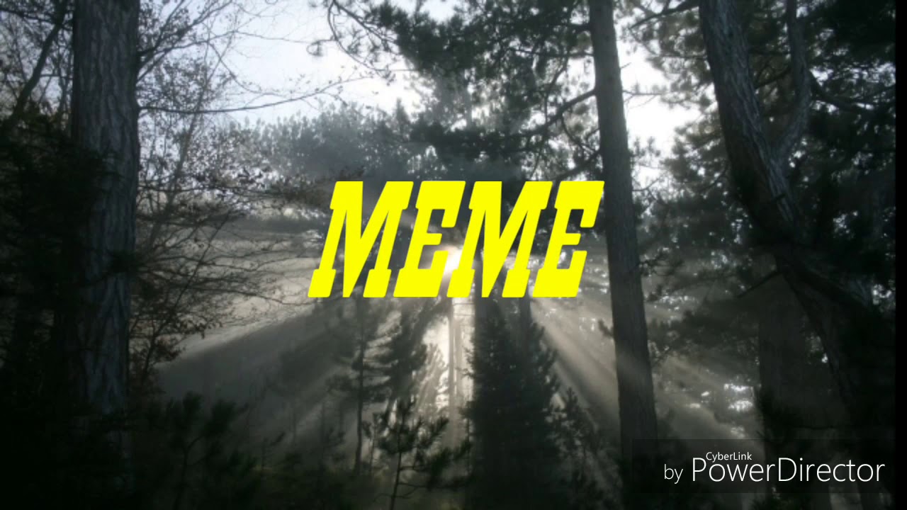 Way Back Meme Collab VaryaCat animations - YouTube