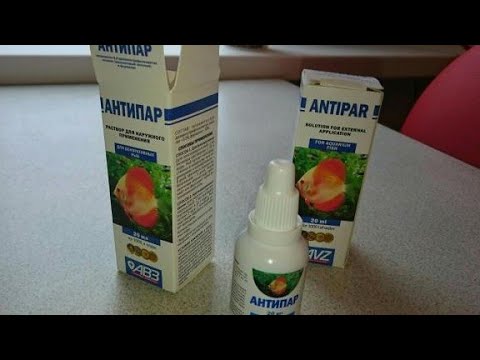 АНТИПАР. ПРИМЕНЕНИЕ. - YouTube