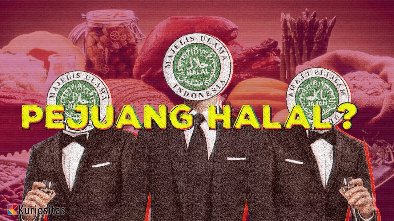 MUI : Halal Warrior! Sampai Kulkas Dan Hijabpun Bisa Bersertifikasi ...