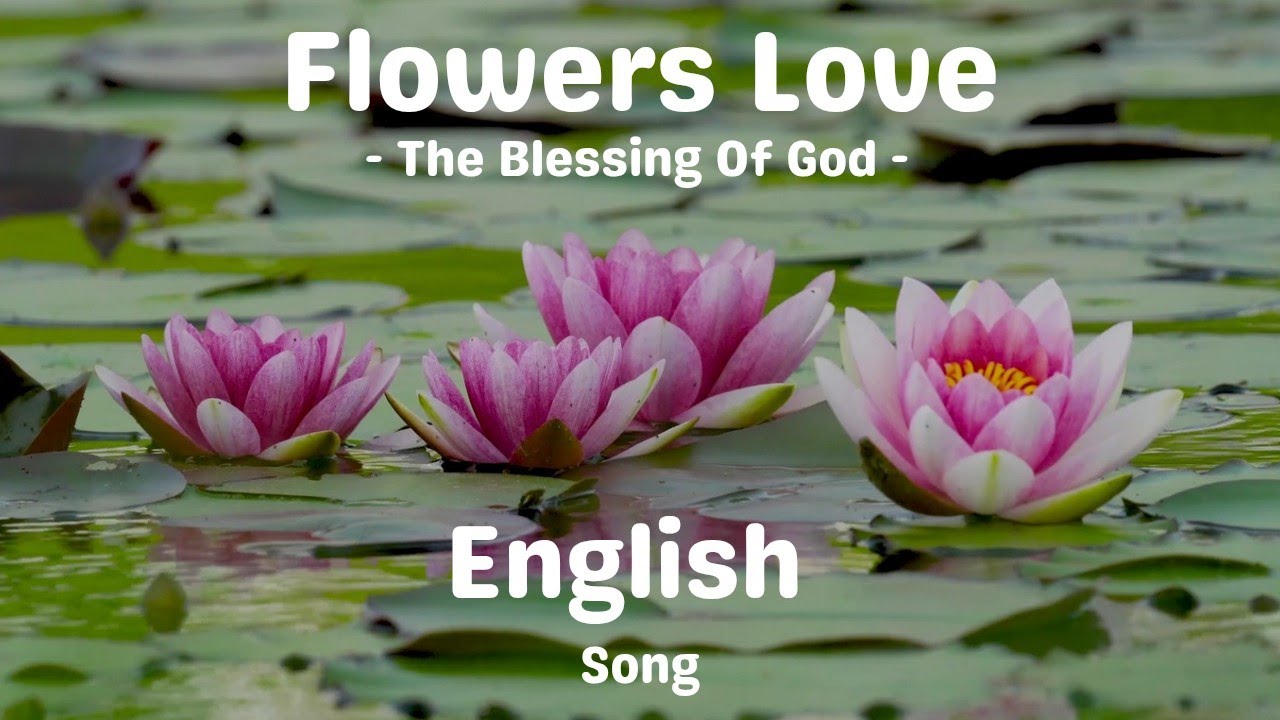 Flowers 🌹 love - blessing of God - English Song - YouTube