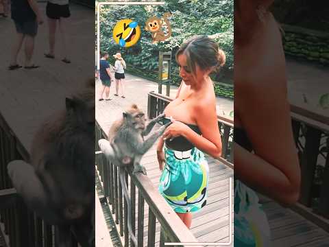 Monkey Plays With Girl 😂 | Funny Monkey Prank Shorts 2025 #shorts #shortsviral #animalvids360