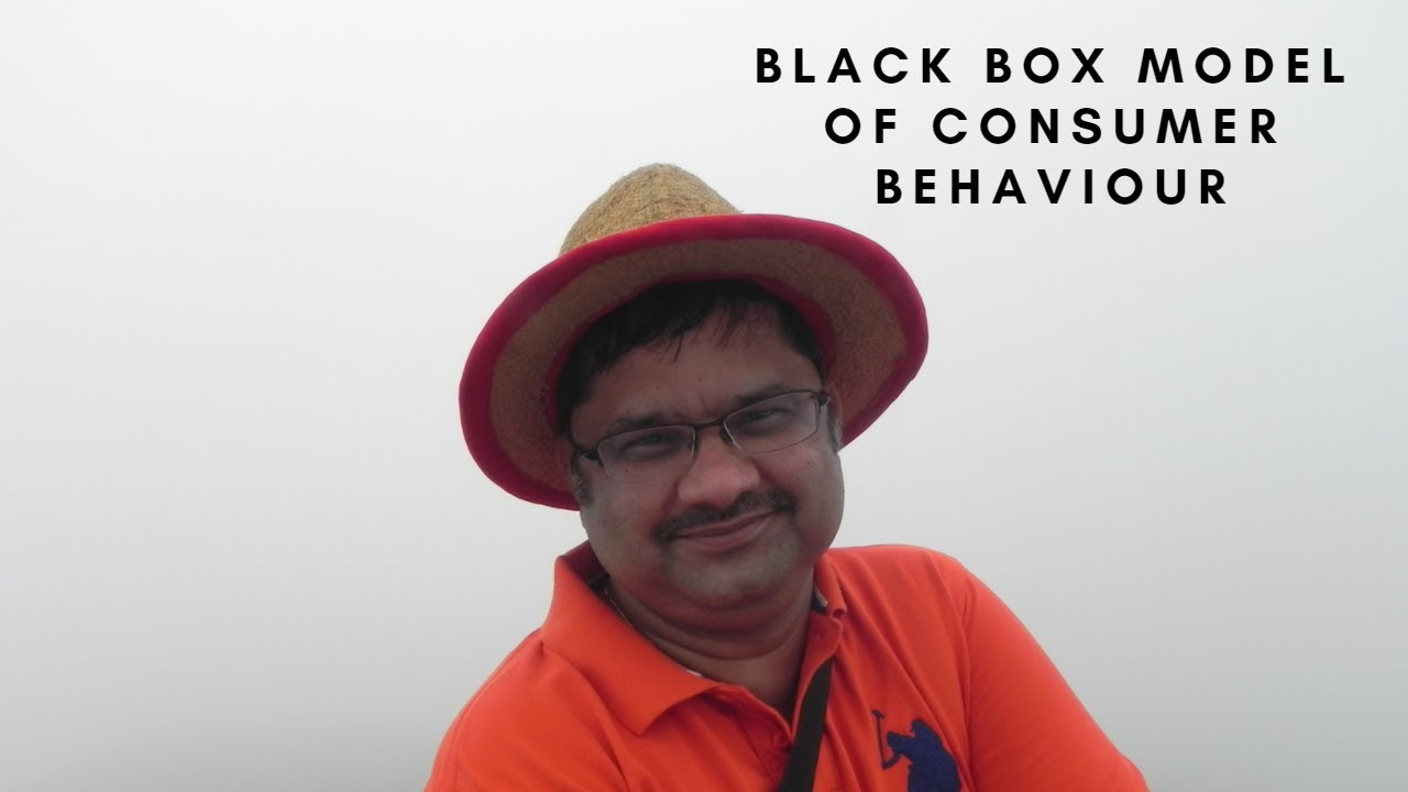 Black Box Model of Consumer Behviour - YouTube