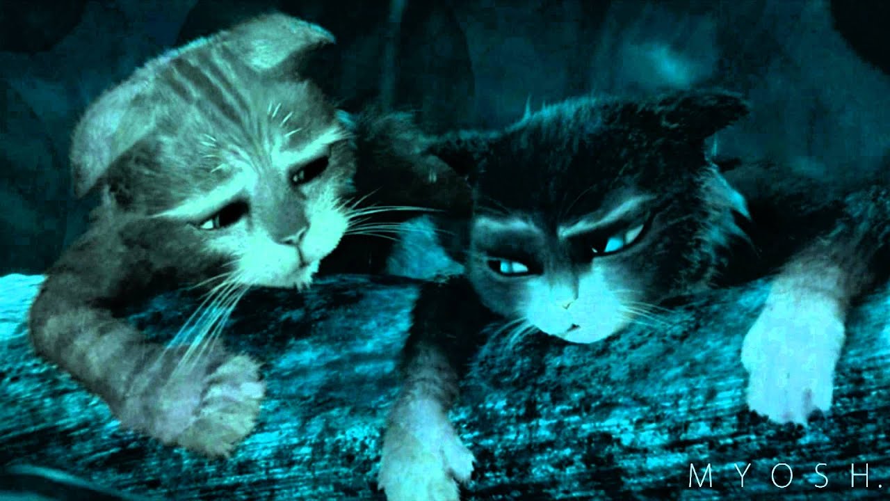 ; Cause this is pure love ♥ - YouTube