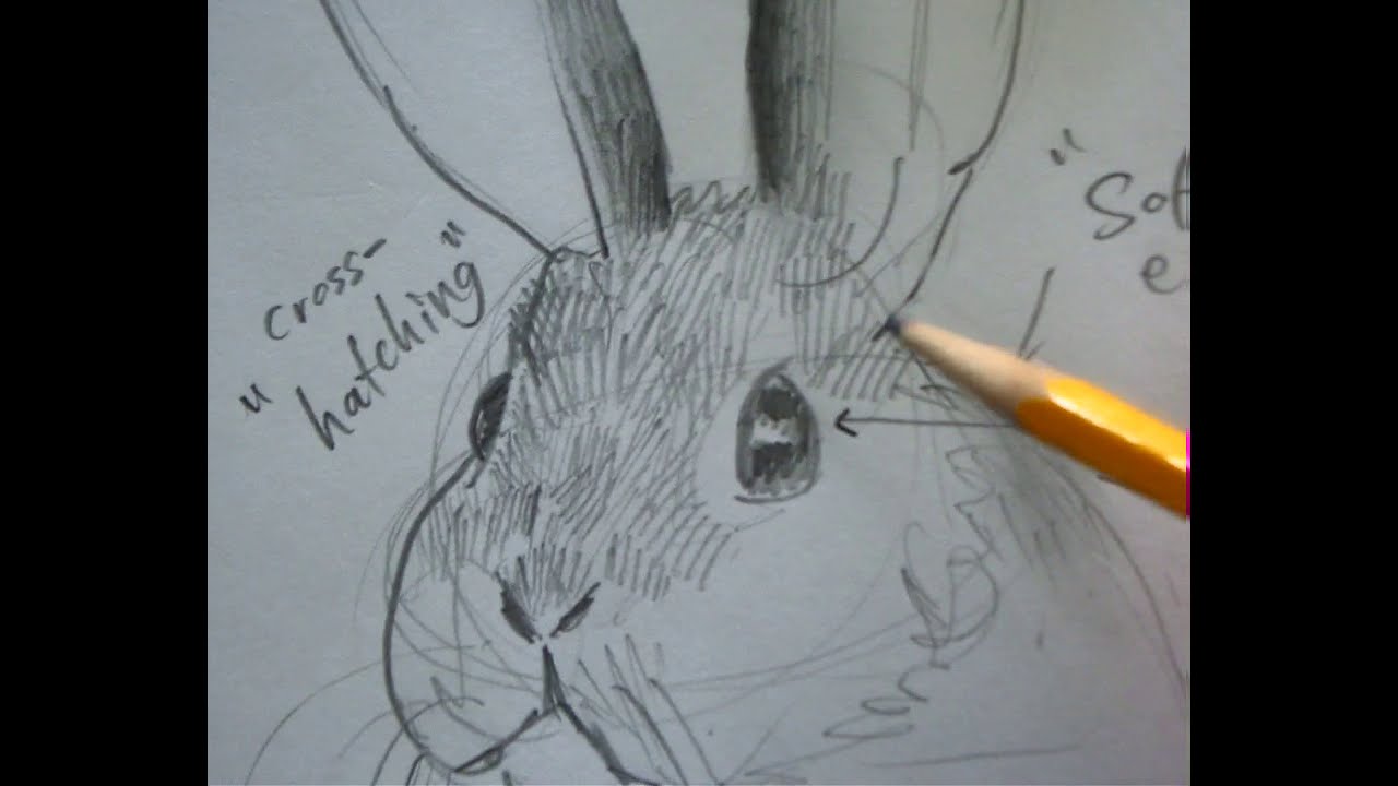 Shading Demonstration with Cross Hatching on a Rabbit - YouTube