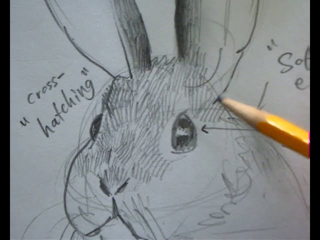 Crosshatch Animal Drawing