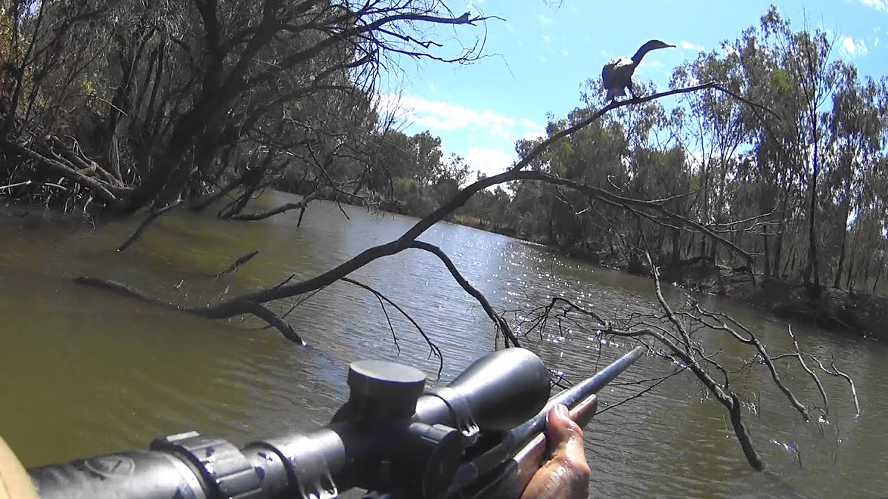 Best of the solo hunt. - YouTube