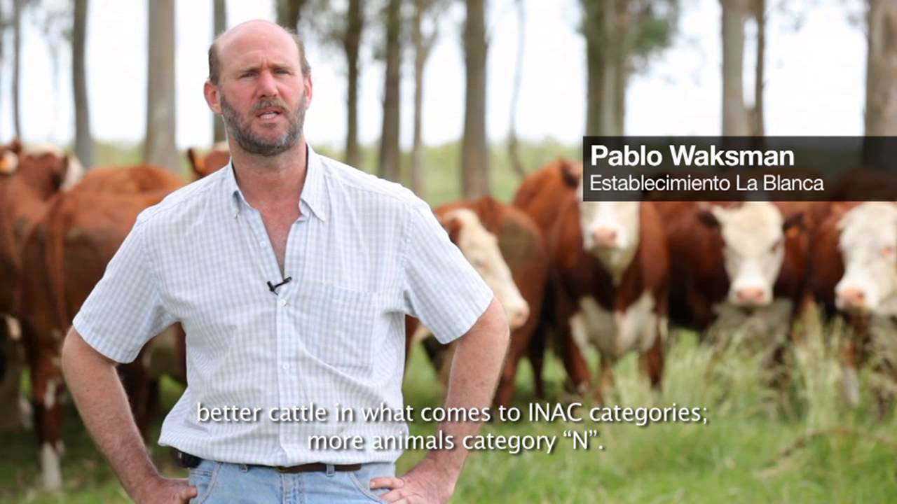 BPU meat Uruguay - Club de Productores - YouTube