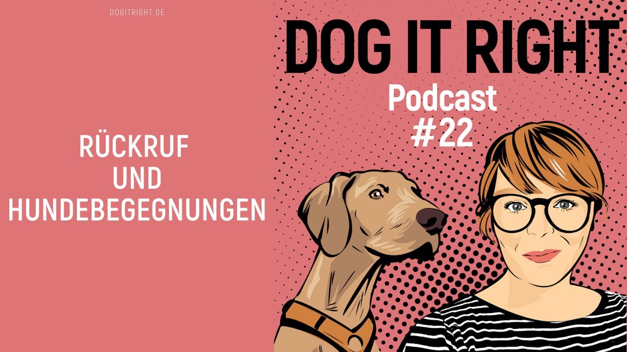 Rückruf und Hundebegegnungen mit Ines Scheuer-Dinger | Dog It Right ...