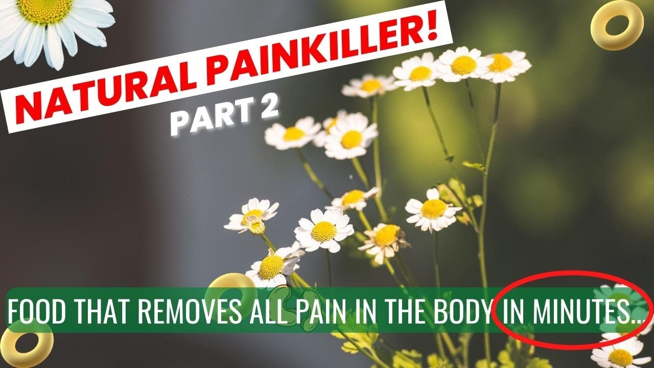 8 Best Natural painkiller! Food that removes all pain in the body in ...