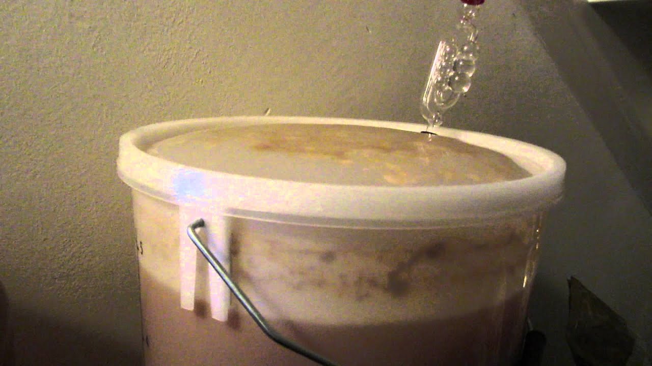 Fermentation of the Pale Ale - YouTube