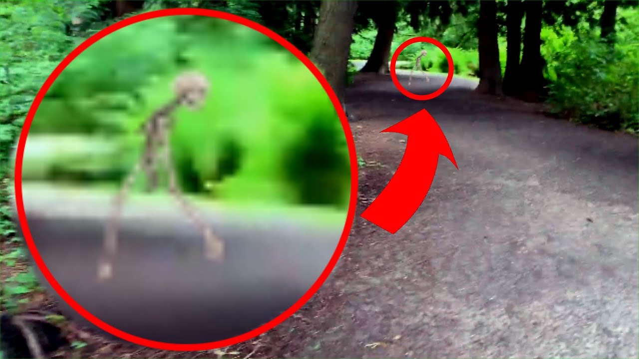 Bonesworth Trevor Henderson monster sighting - YouTube