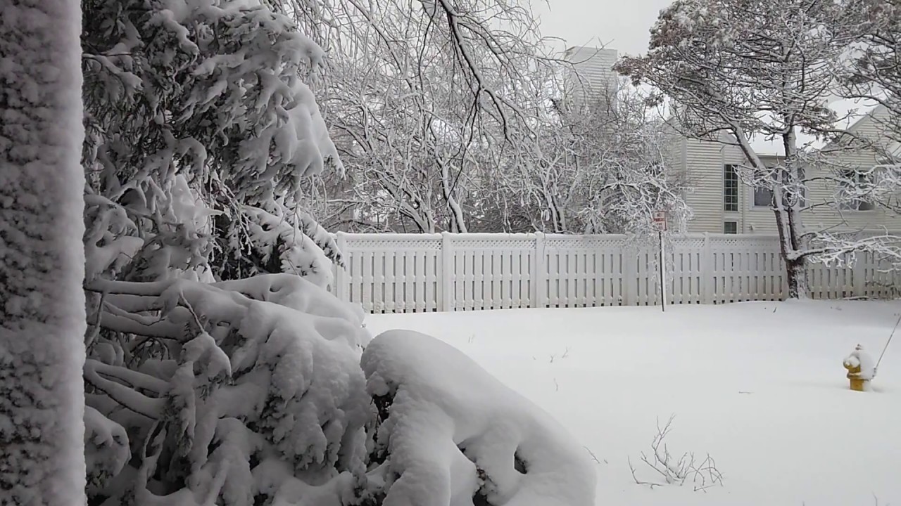 Thanksgiving weekend Blizzard as it happened - YouTube