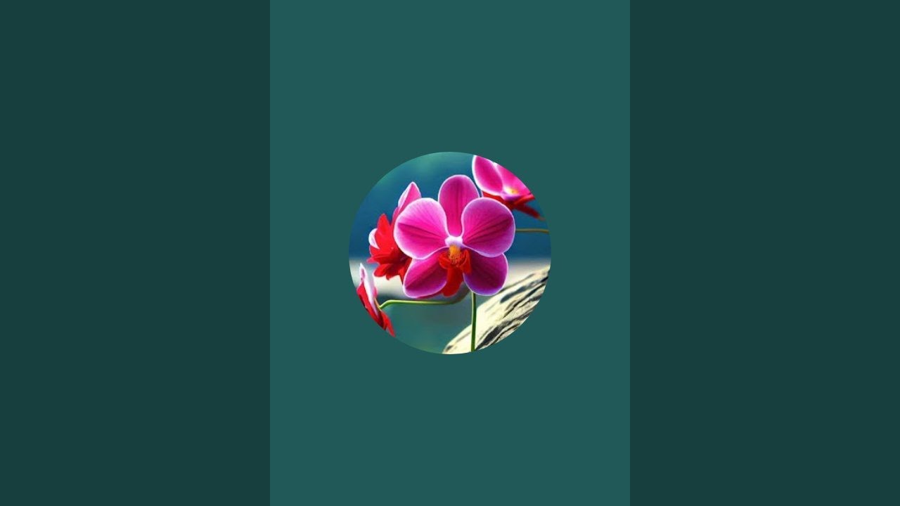 Anas Asad is live! - YouTube