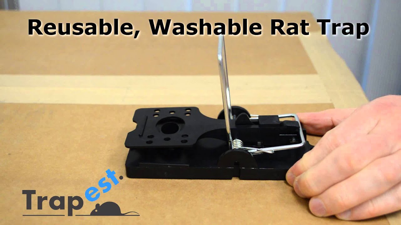 How to set a Rat Trap by Aspectek - YouTube