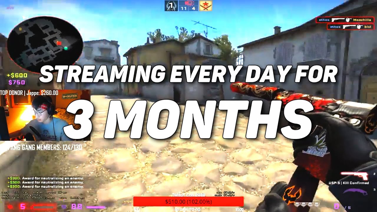 I streamed everyday for 0 viewers - YouTube