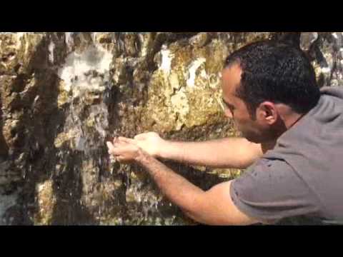 baloch in Germany comedy