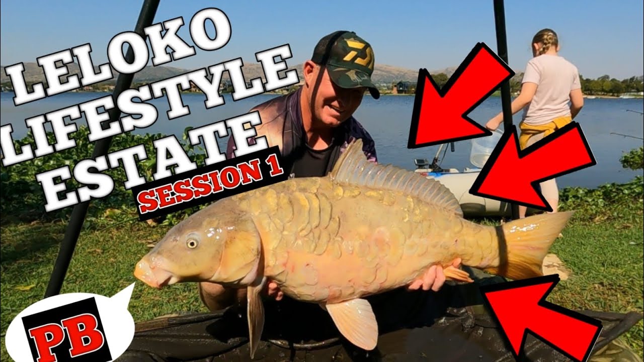 leloko pvt estate - YouTube