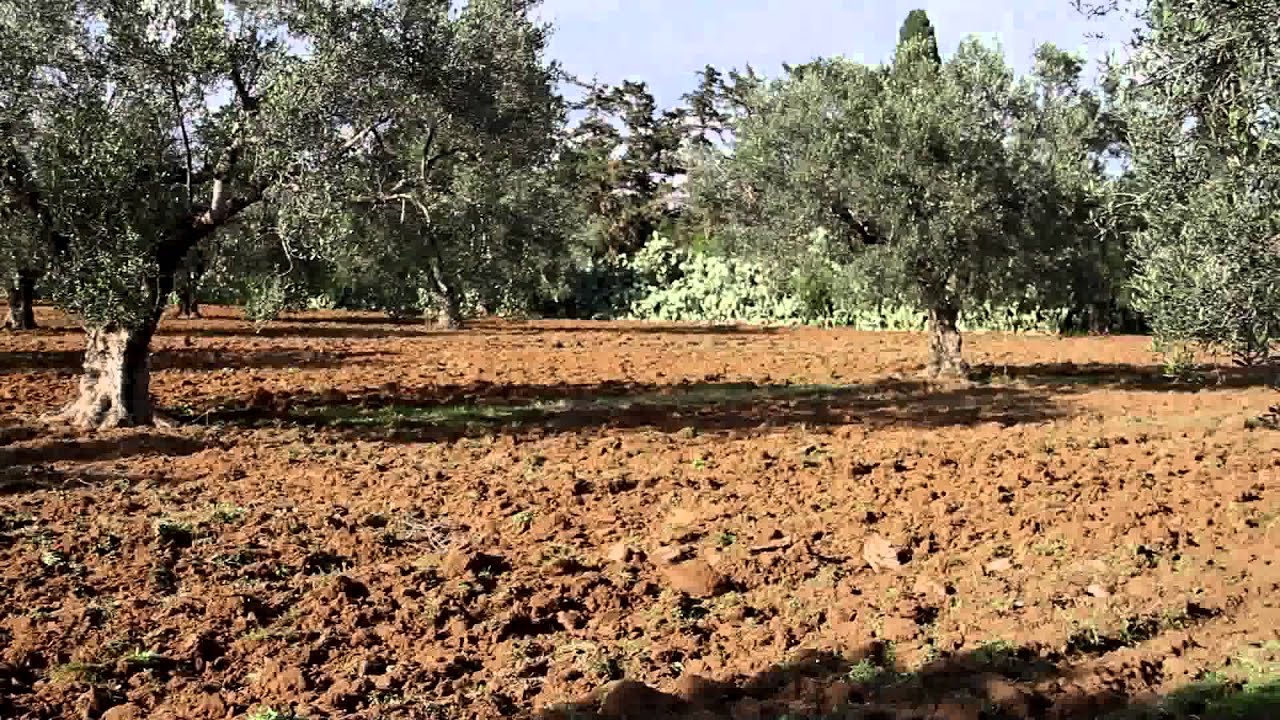 UNIVERSAL ELEMENTS (3 of 10): Intentional Planting - Pray4Tunisia - YouTube