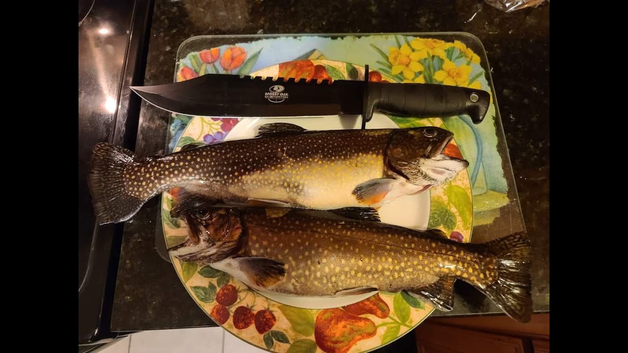 Brook TROUT FISHING Catch and Cook (Trout Chowder) - YouTube