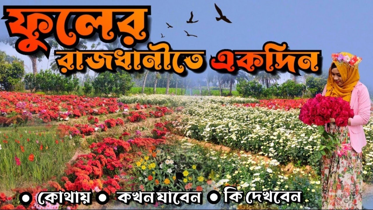 Largest flower garden in Bangladesh || Godkhali Flower garden || গদখালী ...