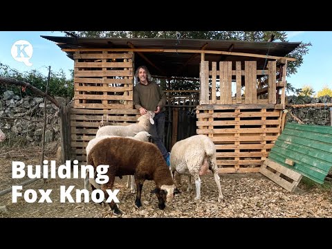 Building a fox proof sheep and lamb house out of pallets - YouTube