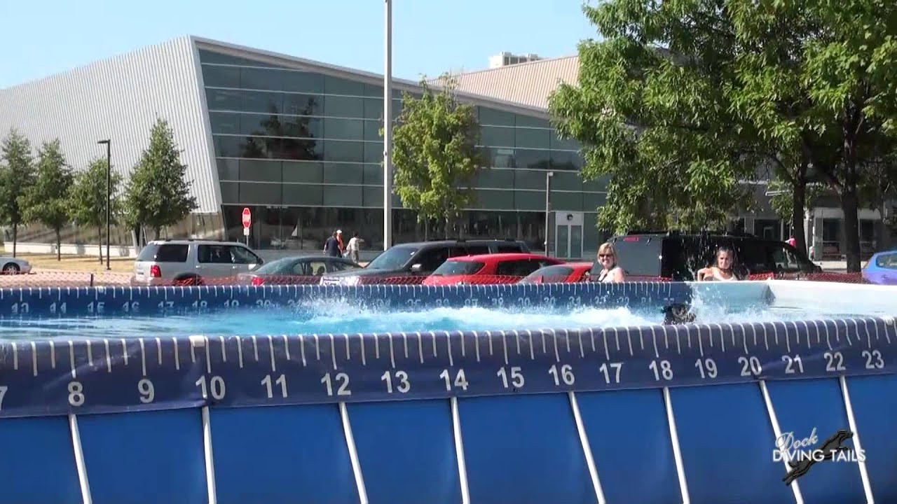 Dock Diving Tails 2012 DockDogs Canadian Regional Championships Event ...