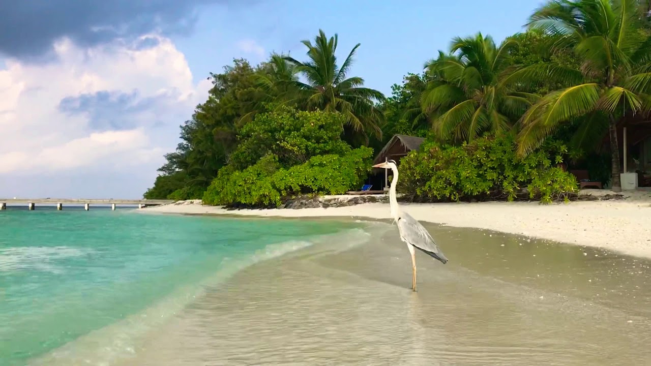 Bathala 2017 - life is better at the beach - YouTube