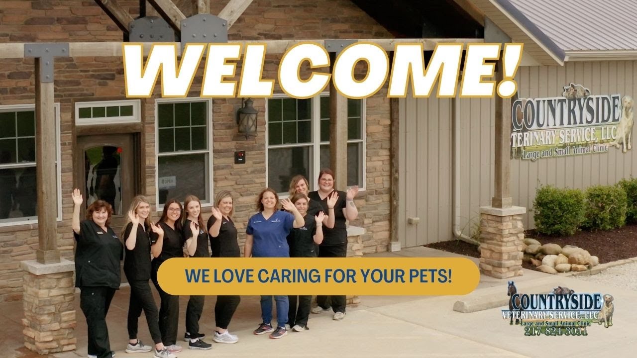 Welcome to Your Taylorville Vet - Countryside Veterinary Services [2023 ...