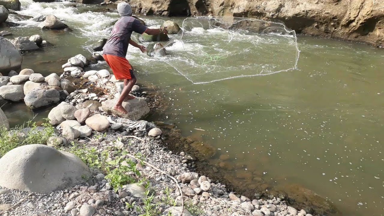 Menjala ikan di sungai kecil pakai jala 2inci - YouTube