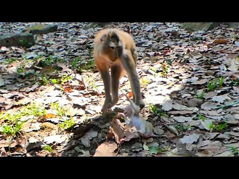 Why Baby Levy Needs to Jump Like Mom Libby: Heartwarming Growth! unique style style of libby  !