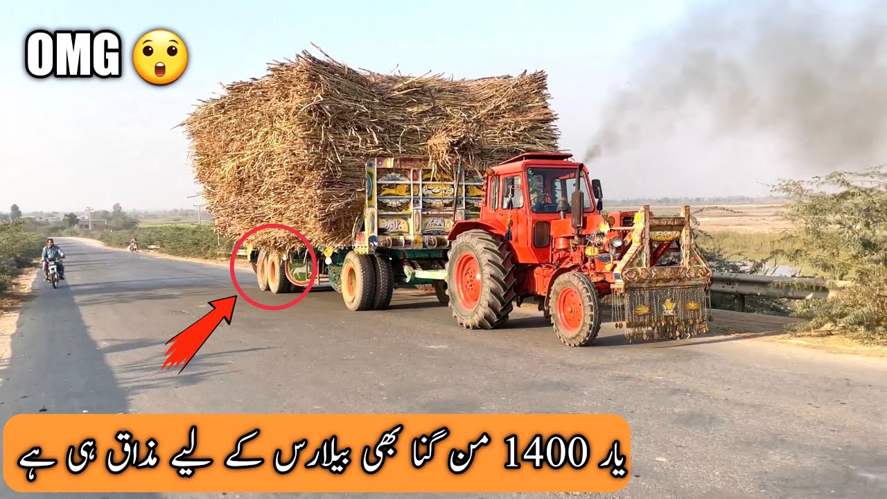 12 Wheel Trailer 1400 Man Sugarcane Load Motorway Bridge Or Belarus Ki ...