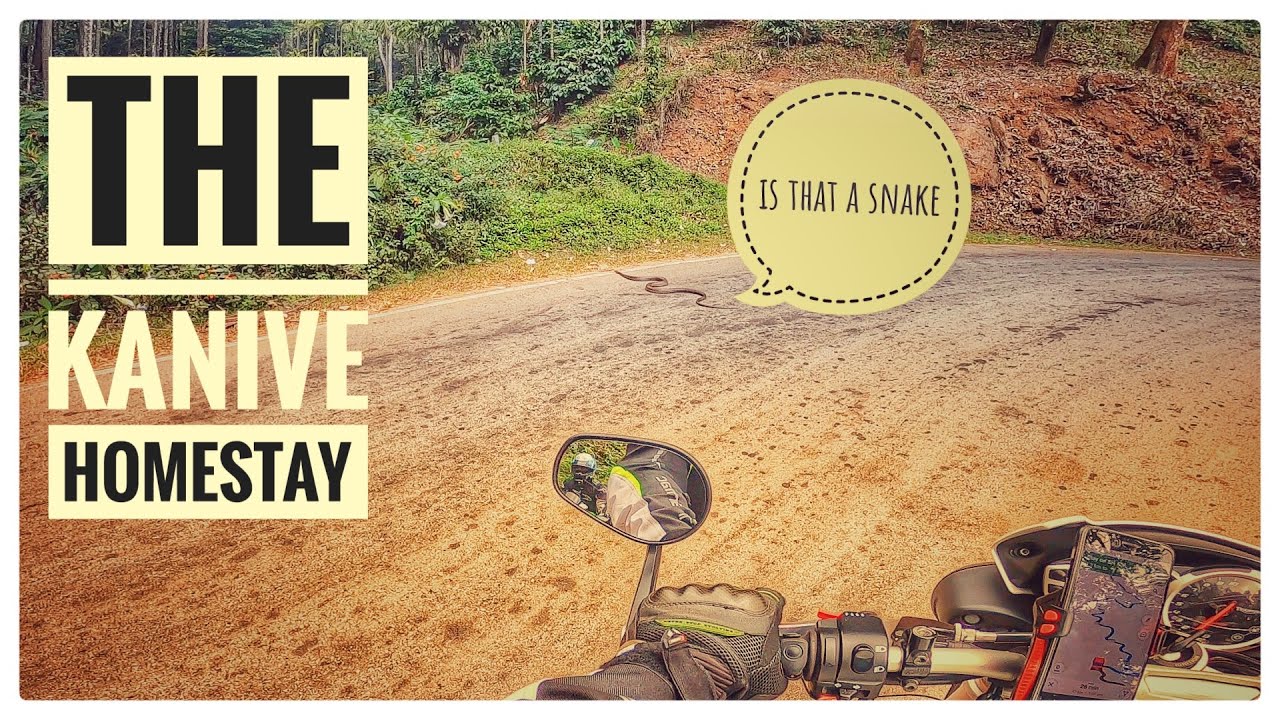 #superbikes - To the Kanive Home Stay | ZX10RR | ZX6R | Speed Triple ...