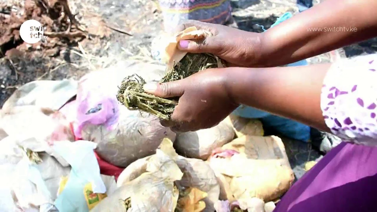 150 Kgs of Bhang seized and set on fire in Isiolo - YouTube