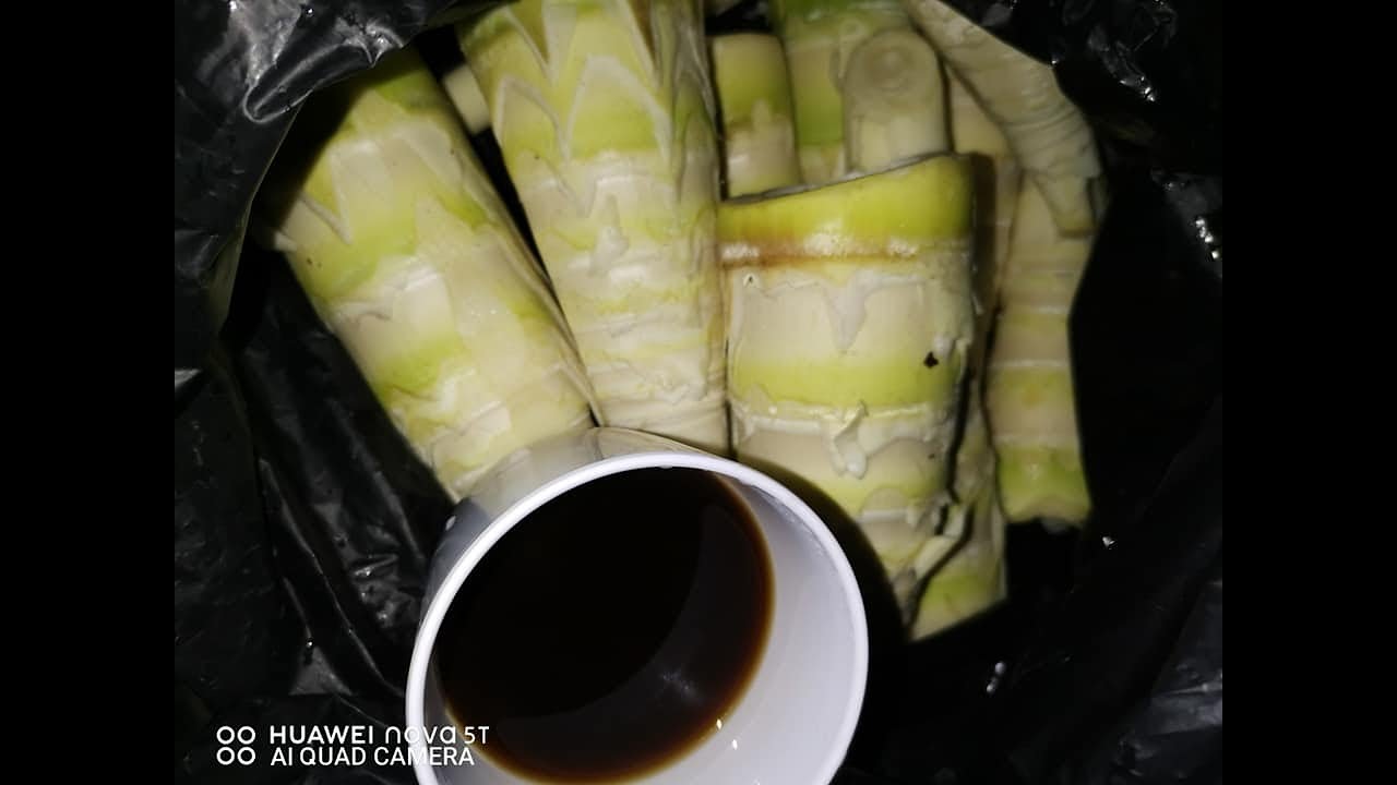 Ulam Rebung / Eating Bamboo Shoots / Ngulam Tubu Paling Nyamai - YouTube