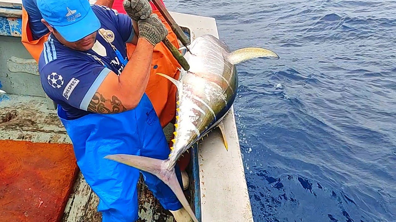 CONHEÇA O NOVO MÉTODO DE PESCAR (INFALÍVEL) - YouTube