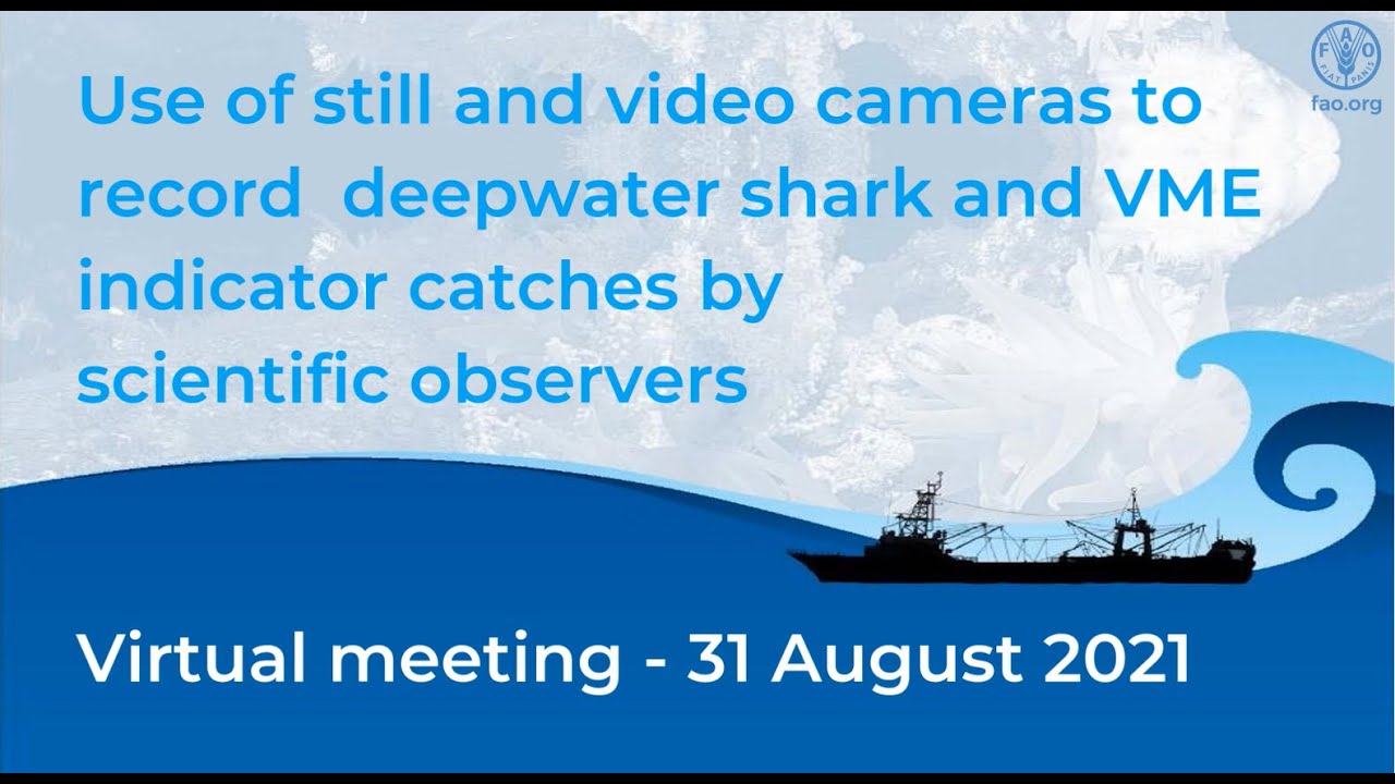 Use of camera systems on commercial fishing vessels – an industry ...