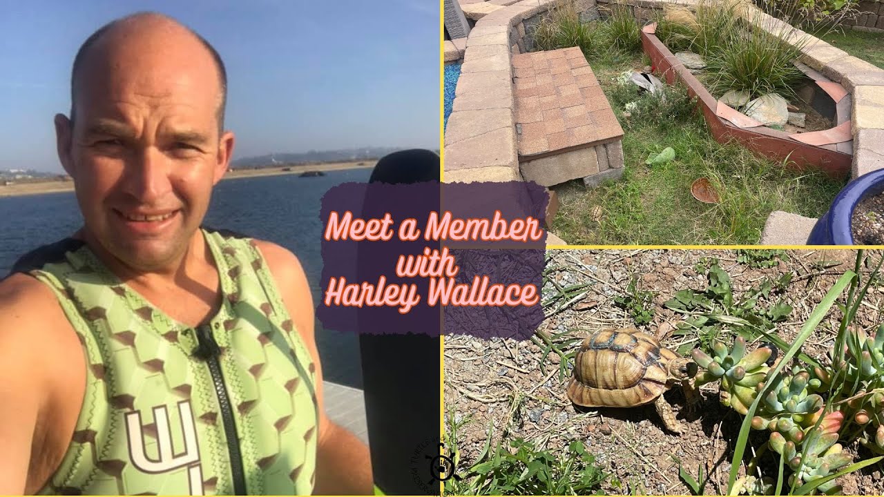 Meet a member - An evening with Harley Wallace - YouTube
