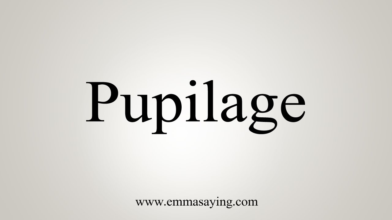 How To Say Pupilage - YouTube